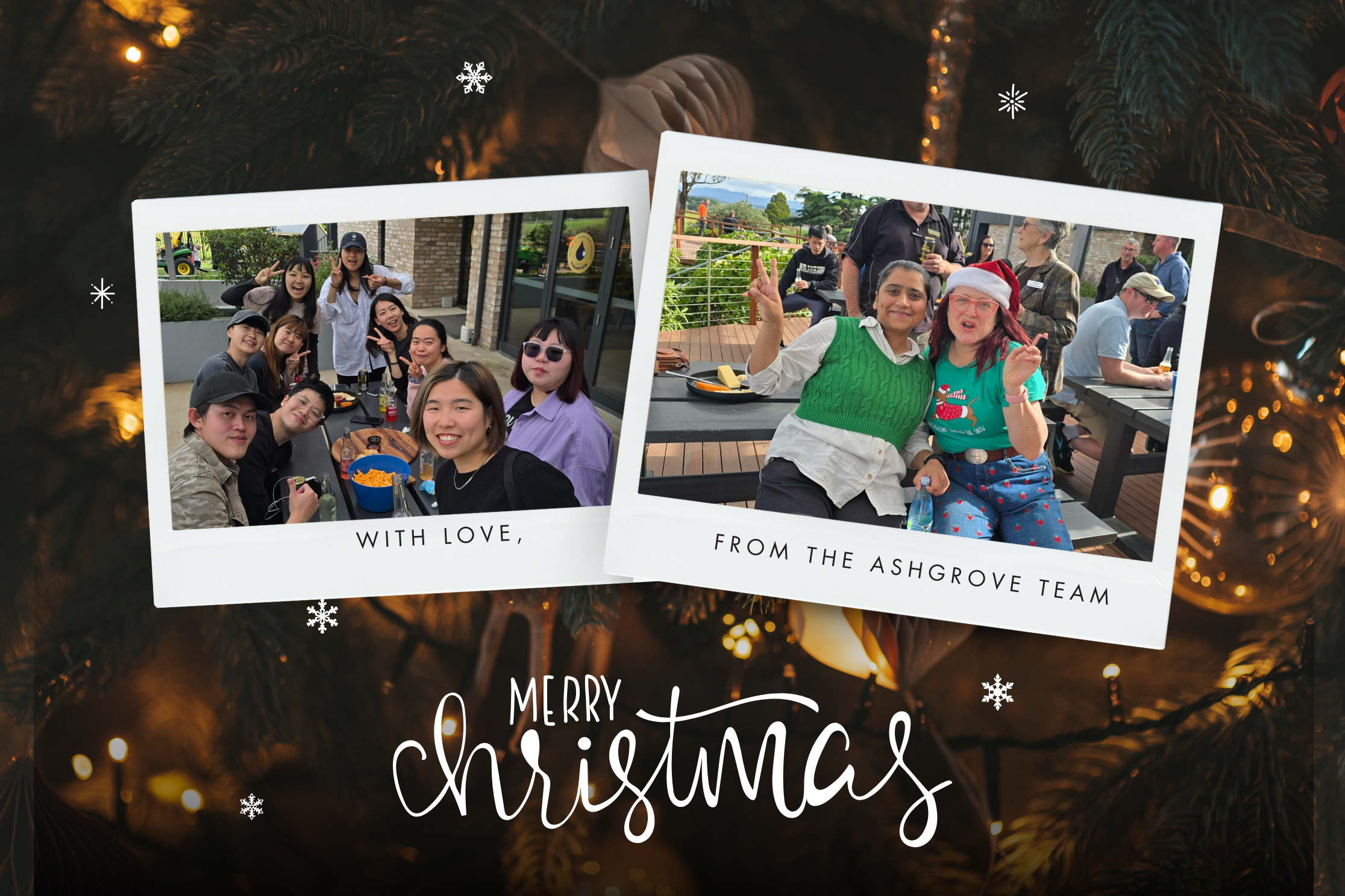 Team Christmas Get-Together – Ashgrove Cheese